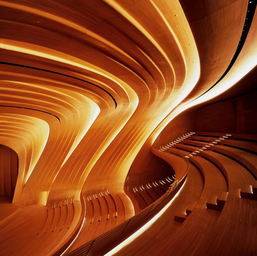 Oasis Towers | Public Building Project