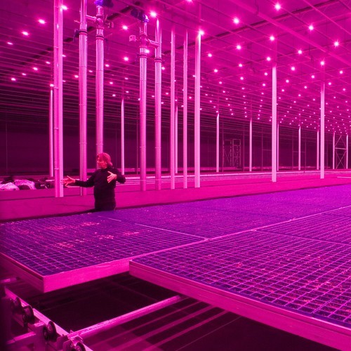 Stick n Tuck Pavilion | Research Project